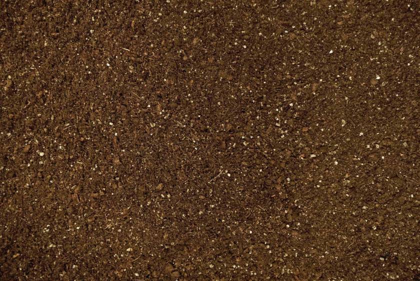 Mezclas para germinación – Proveedora de Insumos y Maquinaria Forestal