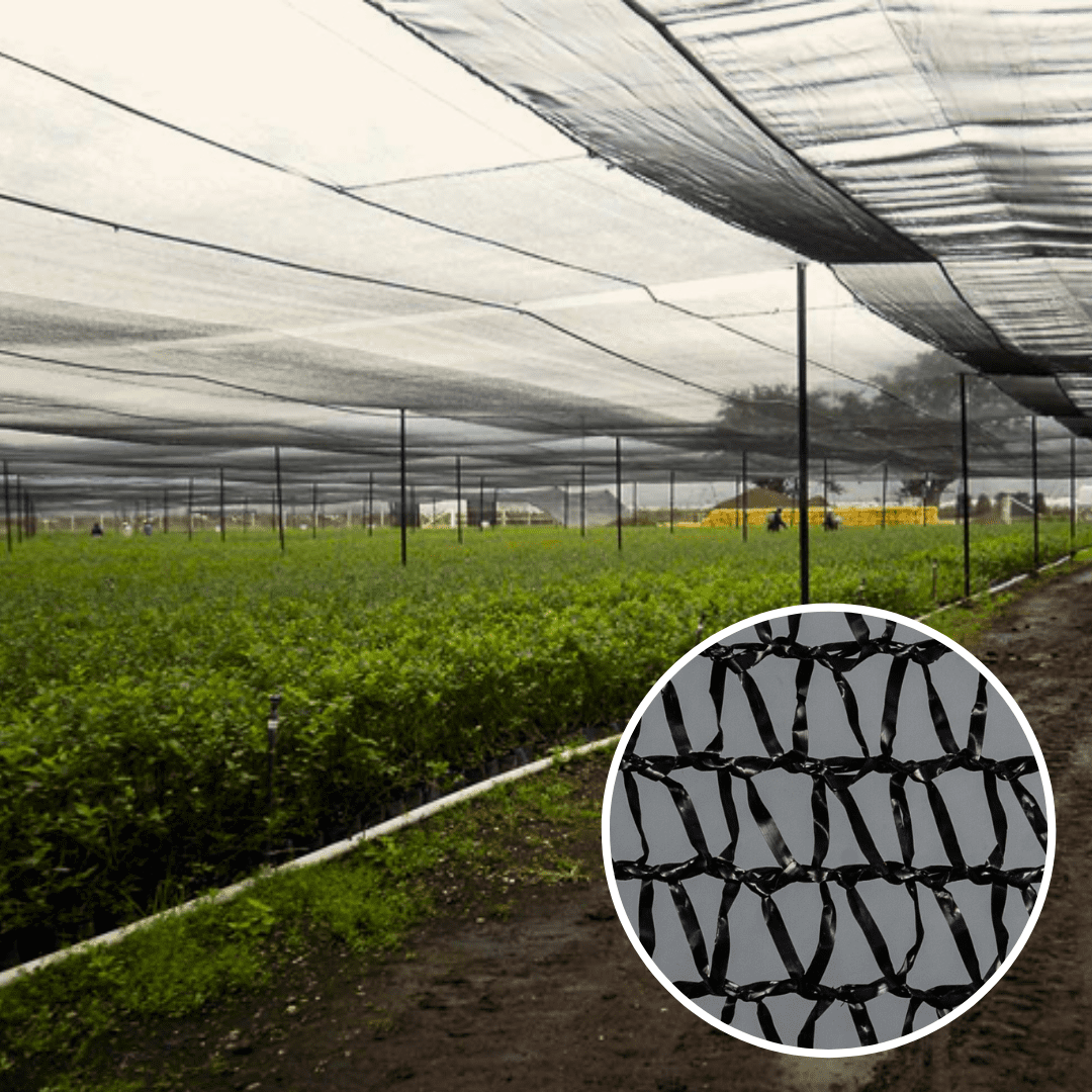 Malla Raschel – Proveedora de Insumos y Maquinaria Forestal