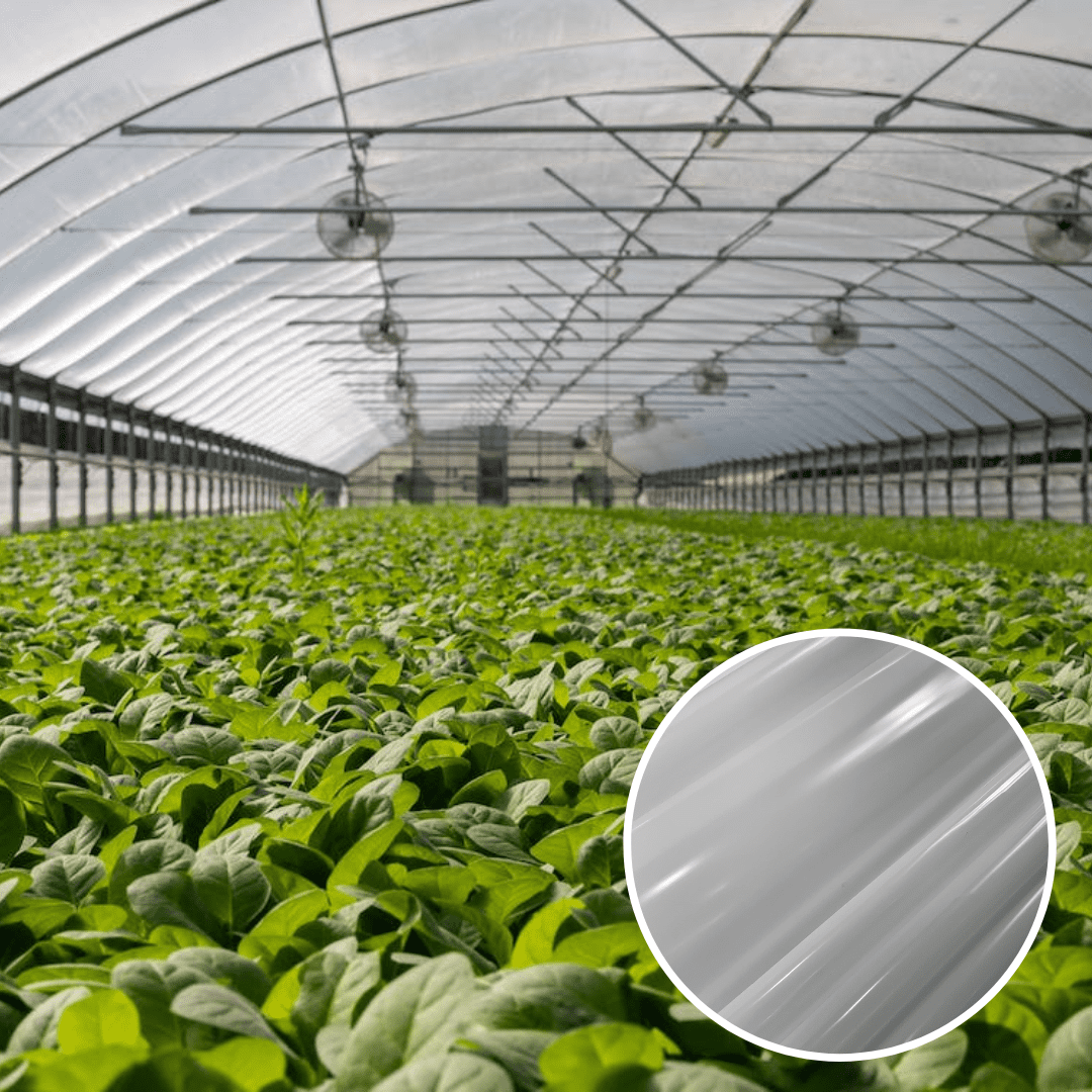 Plástico Blanco Lechoso – Proveedora de Insumos y Maquinaria Forestal