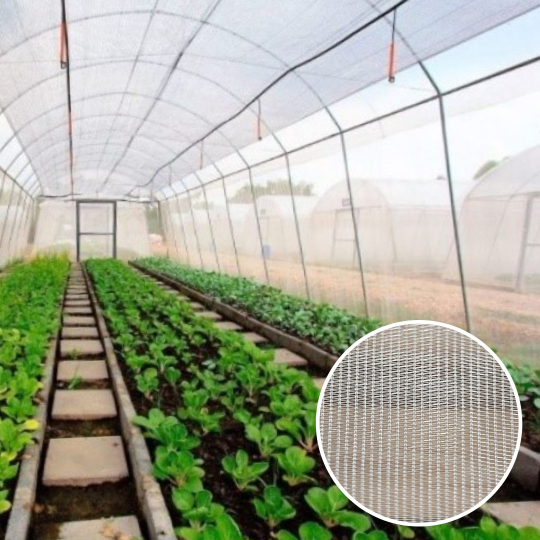 Malla Kontrol Antiáfidos – Proveedora de Insumos y Maquinaria Forestal