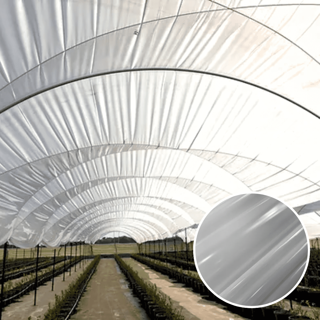 Plástico Blanco Lechoso – Proveedora de Insumos y Maquinaria Forestal