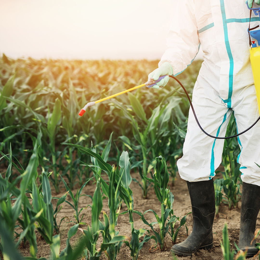 Bioinsecticidas – Proveedora de Insumos y Maquinaria Forestal