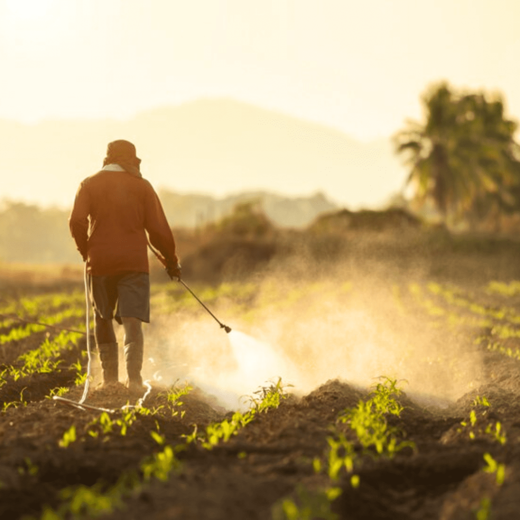 Bioinsecticidas – Proveedora de Insumos y Maquinaria Forestal