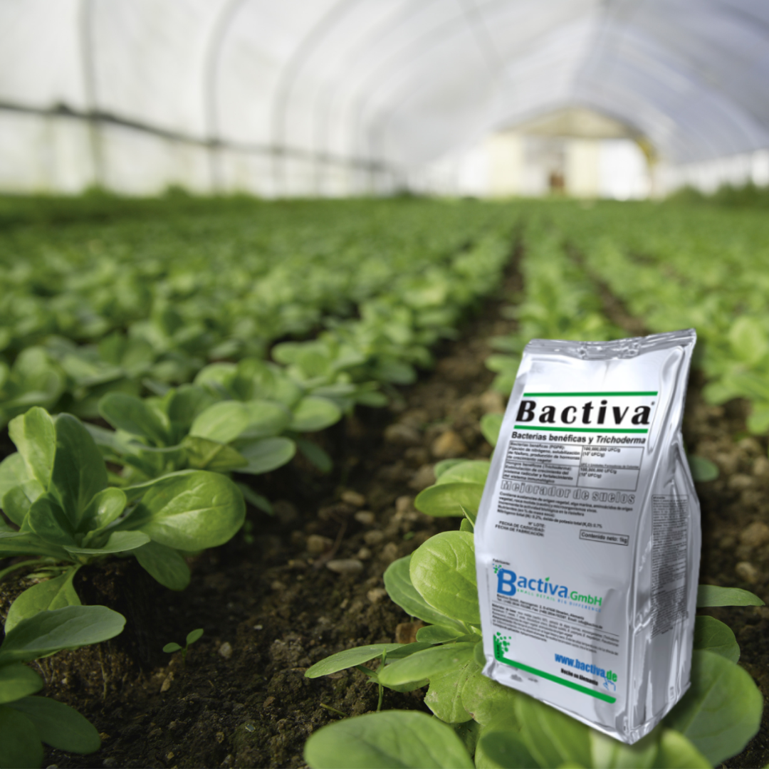 Biofungicidas – Proveedora de Insumos y Maquinaria Forestal