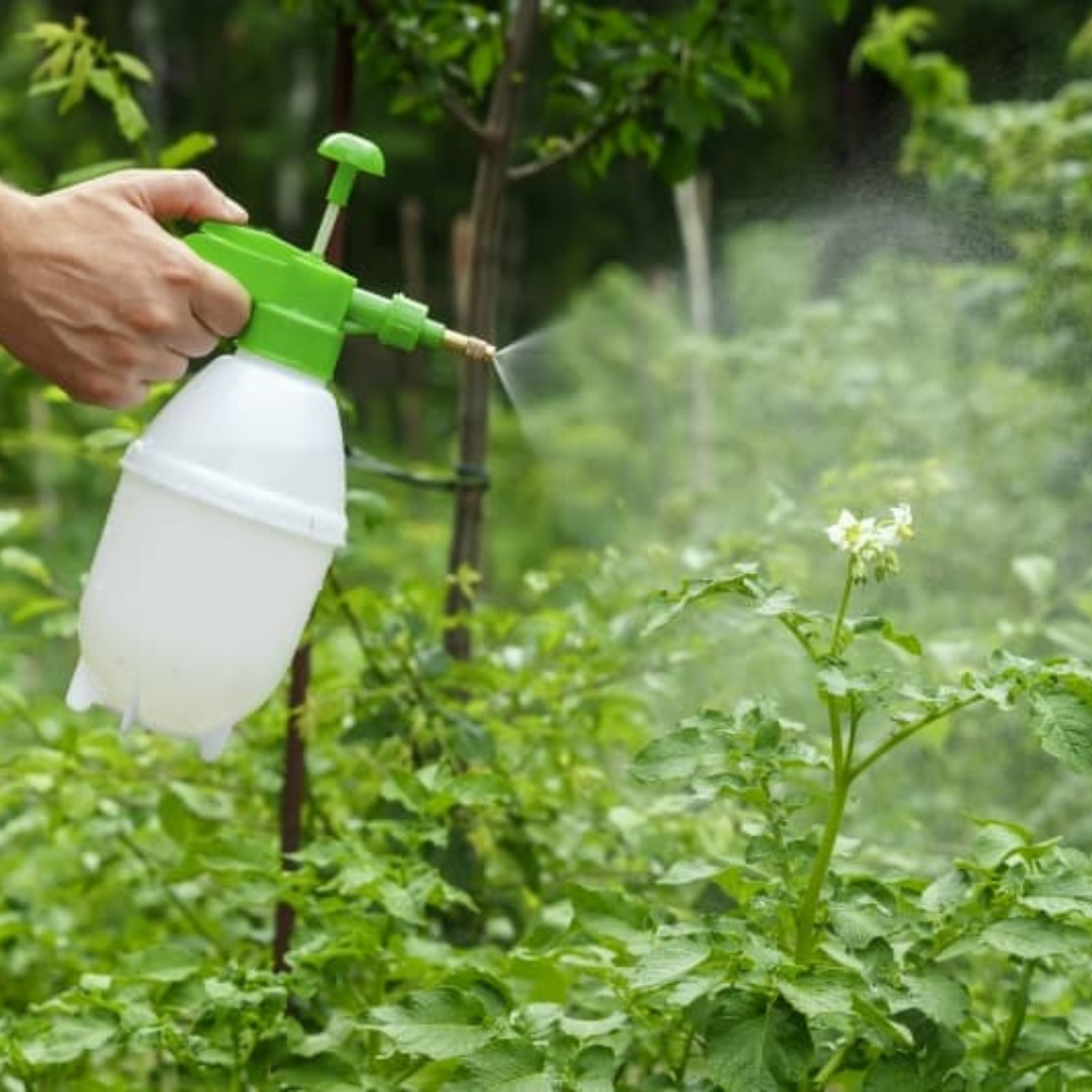 Bioinsecticidas – Proveedora de Insumos y Maquinaria Forestal