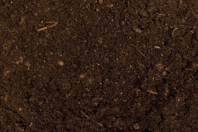 Peat Moss – Proveedora de Insumos y Maquinaria Forestal