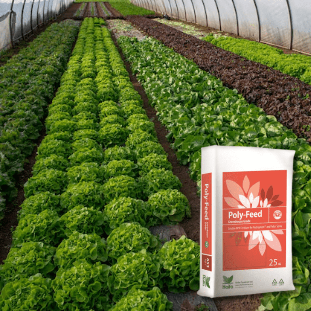 Fertilizante Poly-Feed – Proveedora de Insumos y Maquinaria Forestal