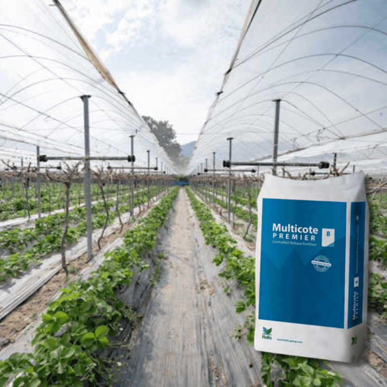 NUESTROS PRODUCTOS – Página 2 – Proveedora de Insumos y Maquinaria Forestal